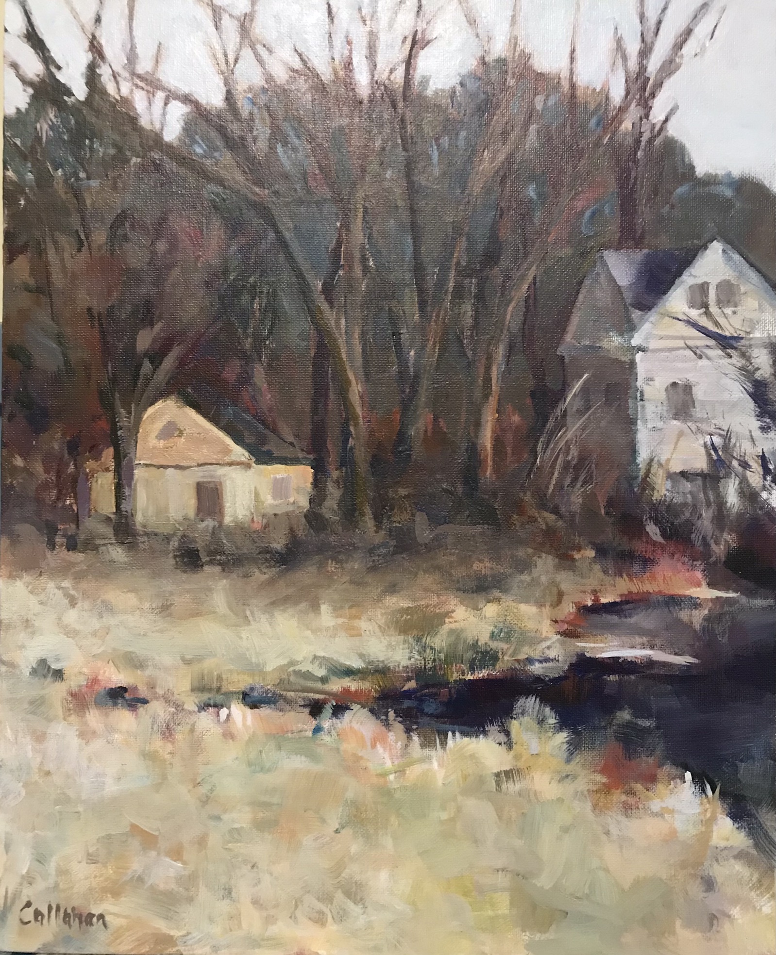 Daniel F. Callahan - Needham Art Association